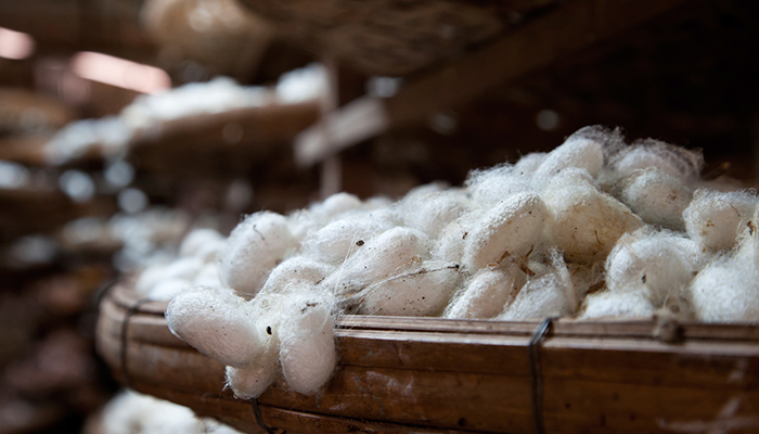 Seide Fakten & Pflegetipps :: BREUNINGER