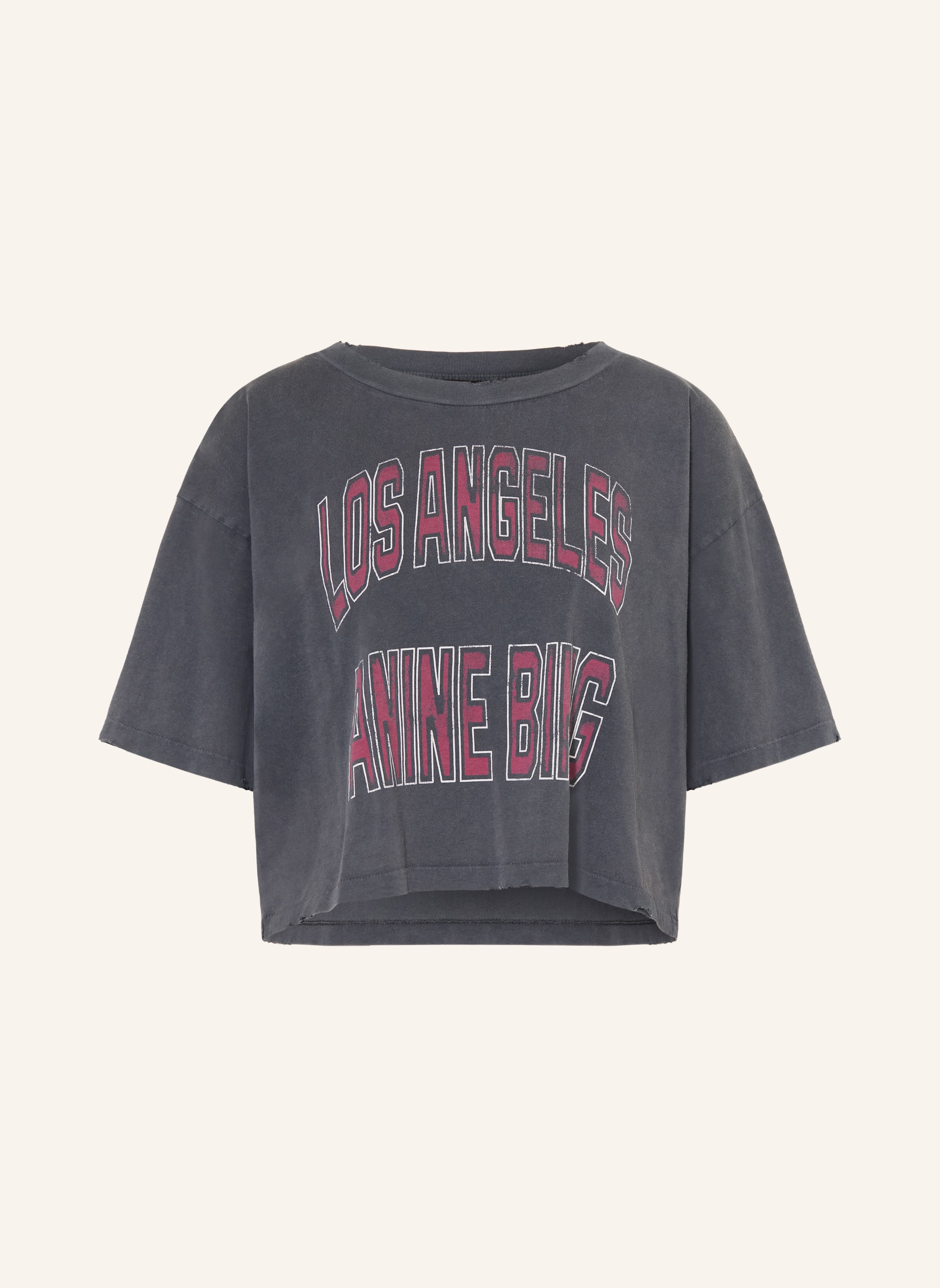 ANINE BING T-Shirt JOHNNY in dunkelgrau