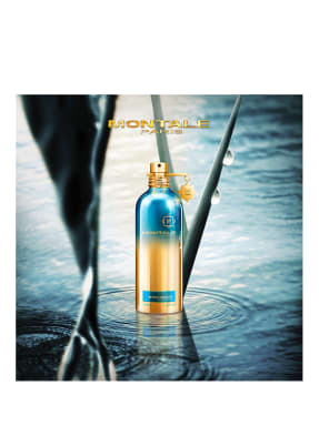 MONTALE Parfum & mehr – faszinierende Düfte des Orients