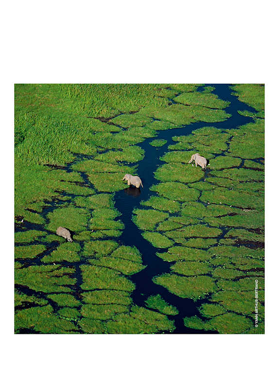 Beauty für Herren im SALE | 105 Artikel bis zu 50% reduziert