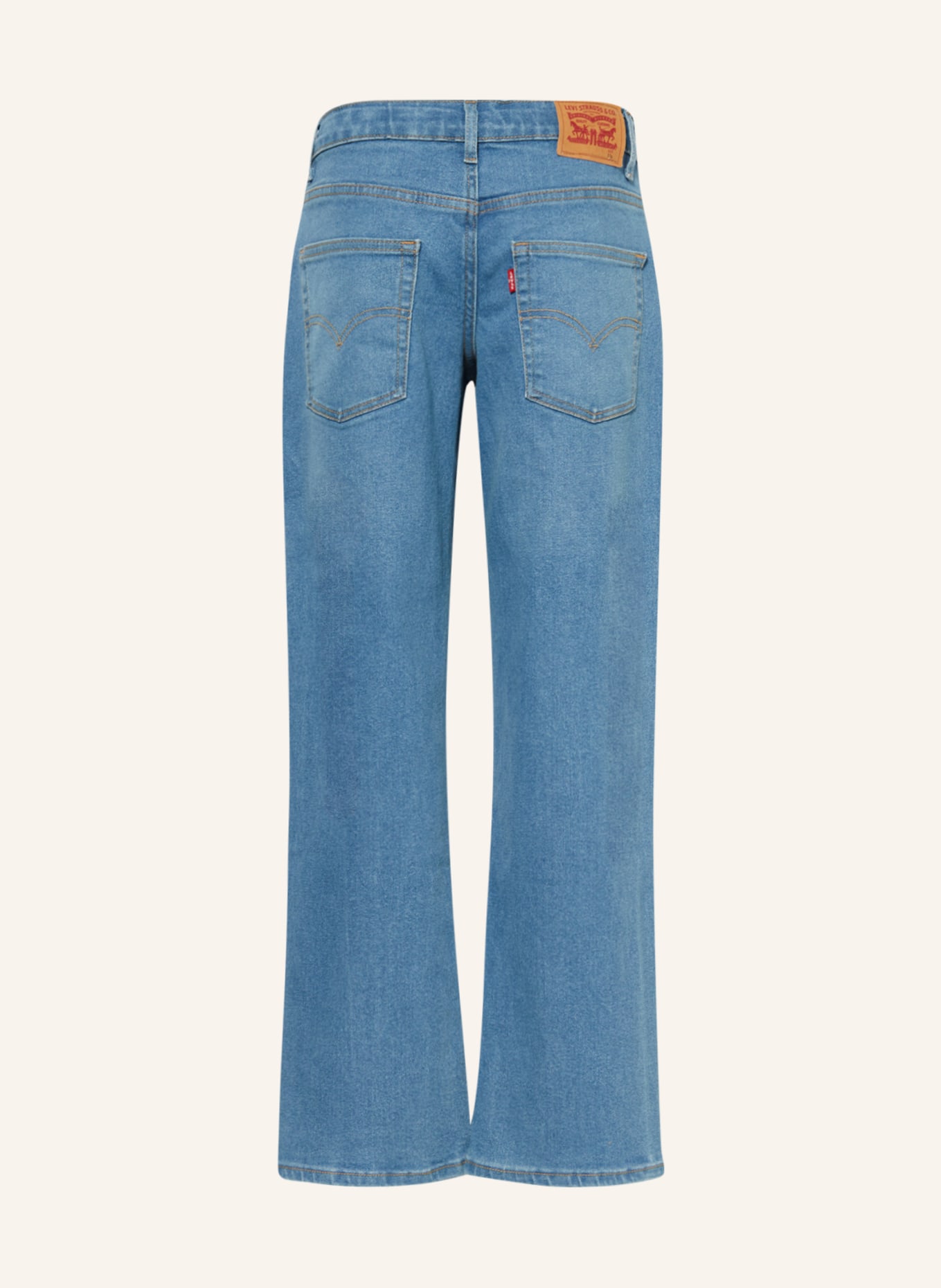 Levi's® Jeans Loose Taper Fit in l3d palisades