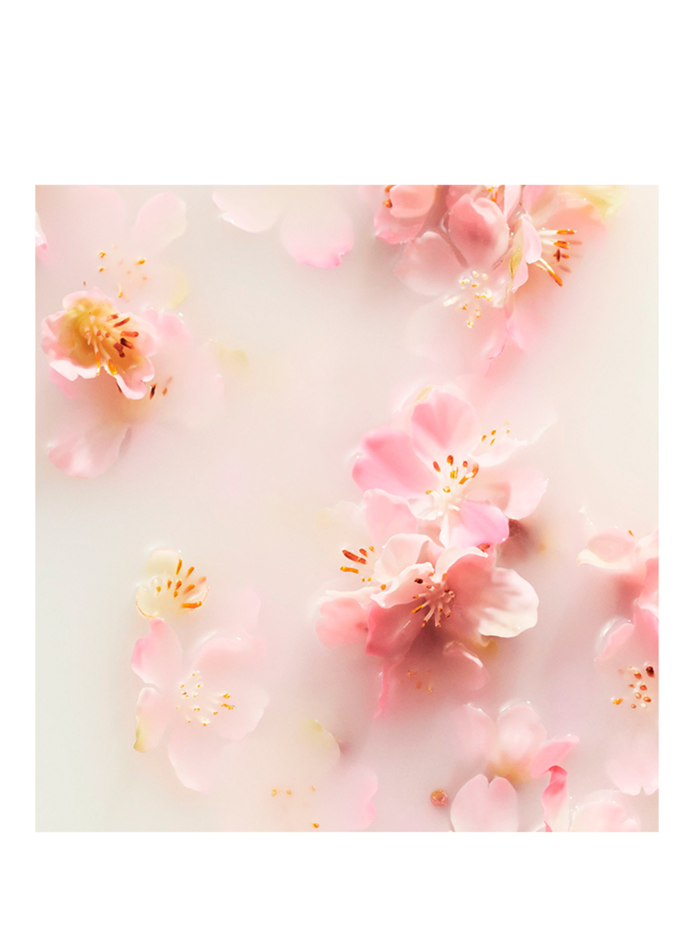 RITUALS THE RITUAL OF SAKURA Laundry Deluxe Waschmittel