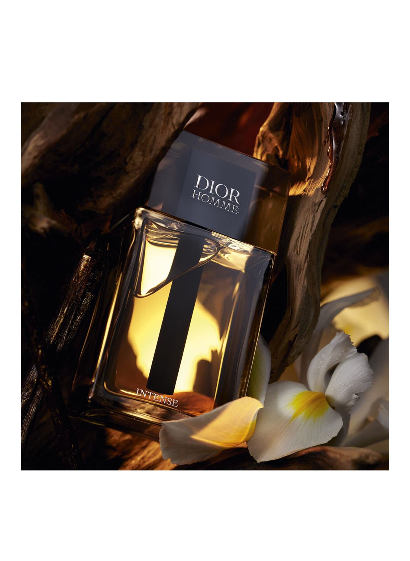 DIOR DIOR HOMME INTENSE