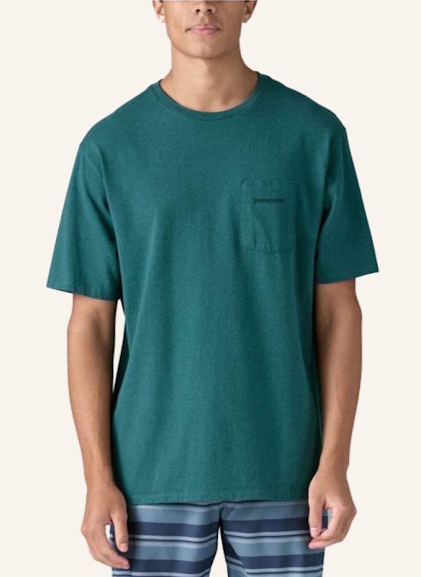 patagonia T-Shirt BOARDSHORTS POCKET WETLAND BLUE in grün